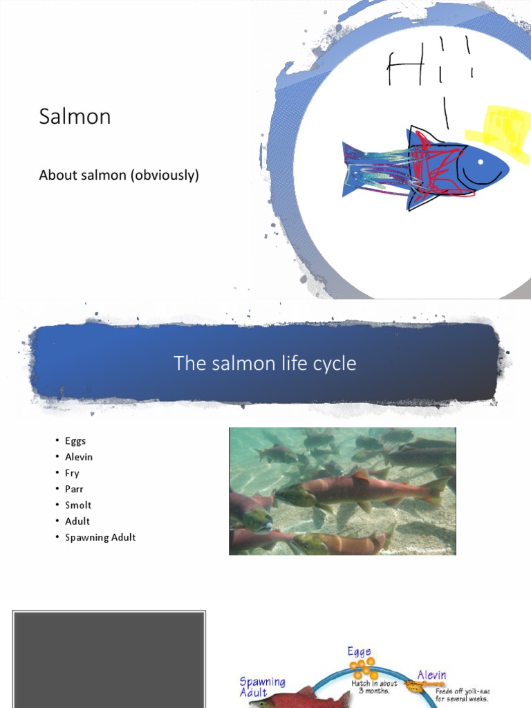 Salmon | PDF