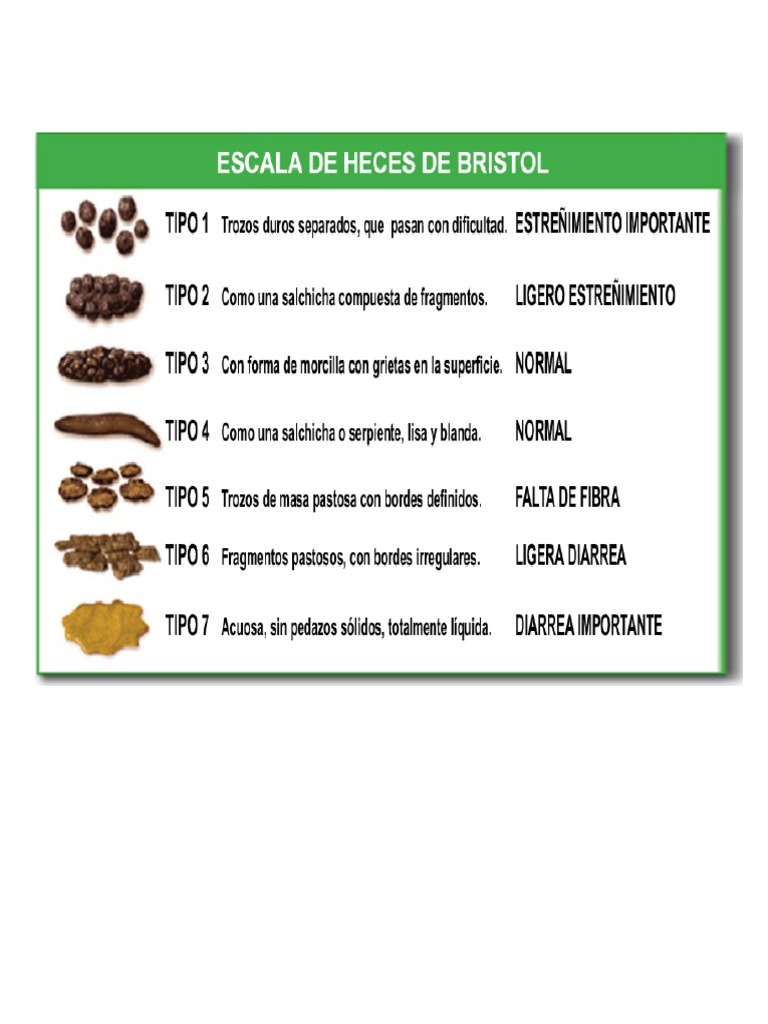 Escala de Bristol PDF | PDF