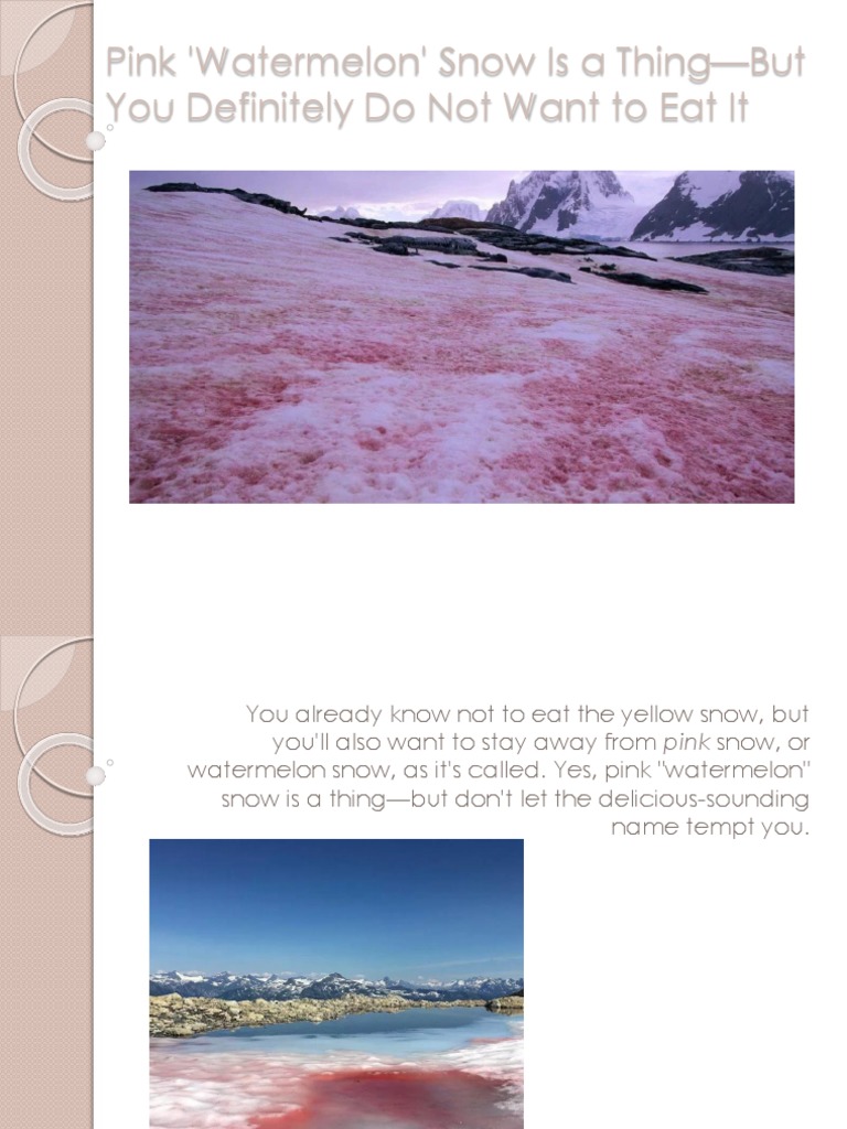 Pink 'Watermelon' Snow | PDF