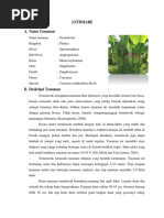 Kelompok 4 IDENTIFIKASI MAKROSKOPIS DAN MIKROSKOPIS RHIZOMA, FLOS, FRUCTUS DAN SEMEN | PDF