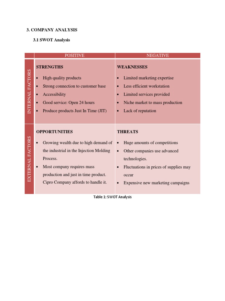Company Analysis 3.1 SWOT Analysis: Positive Negative | PDF