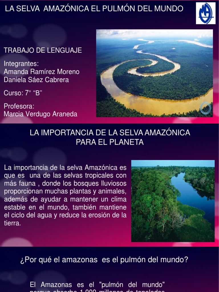 LENGUAJE Amazonas 6 PDF | PDF | Selva | Selva amazónica