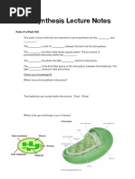 Chloroplast Notes | PDF | Chloroplast | Photosynthesis