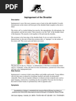 Upper Extremity Functional Index Score | PDF | Self-Improvement