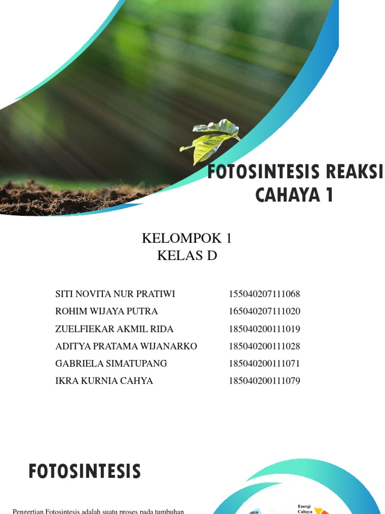 Fotosintesis Reaksi Cahaya 1 | PDF