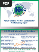 KDIGO Guidelines for Acute Kidney Injury | PDF | Organ (Anatomy ...