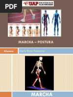 Signo de Risser | PDF | Escoliosis | Rtt