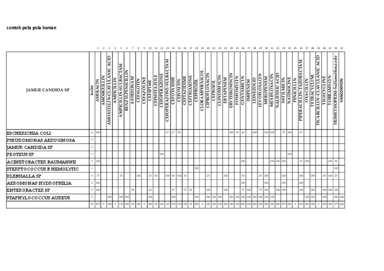 Contoh Peta Pola Kuman | PDF | Antibiotics | Drugs
