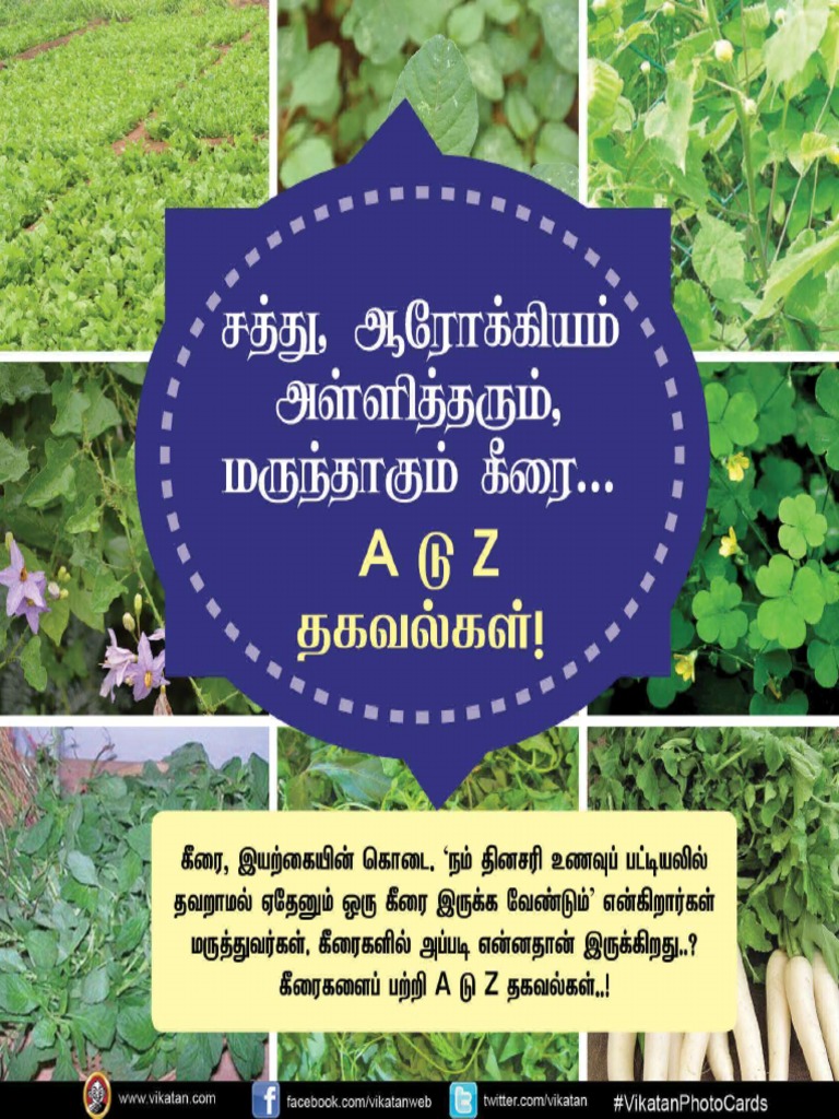 Keerai Vagaigal | PDF