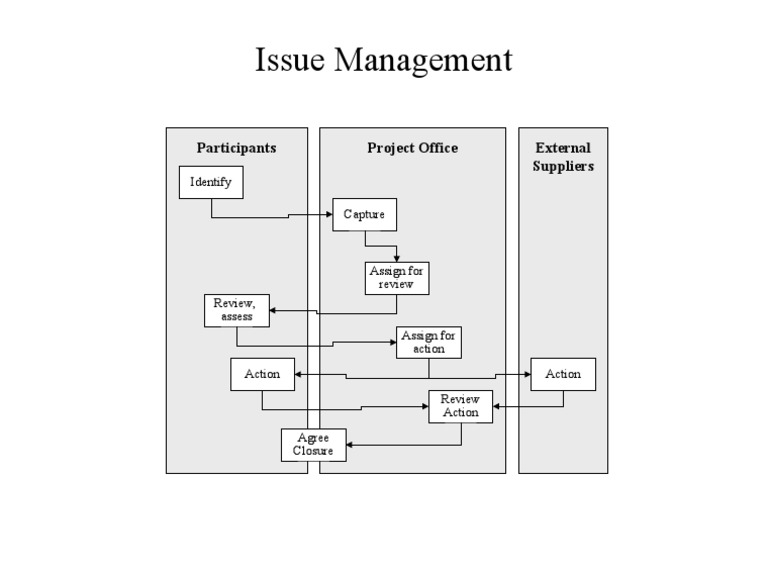 Effective Issue Management Process | PDF