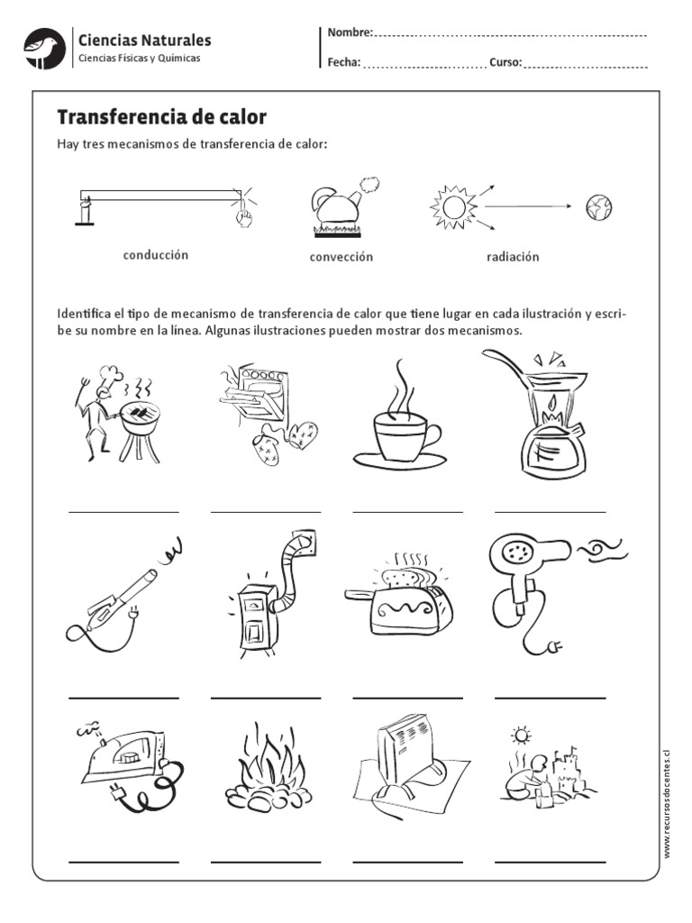 Transferencia Del Calor PDF | PDF