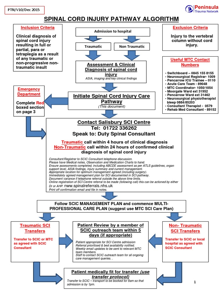 Spinal Cord Injury Management Pathway | PDF | Rectum | Spinal Cord Injury