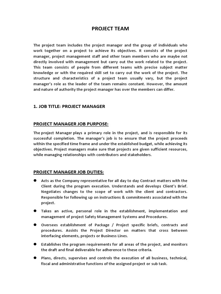 Project Management Team | PDF | Project Manager | Project Management
