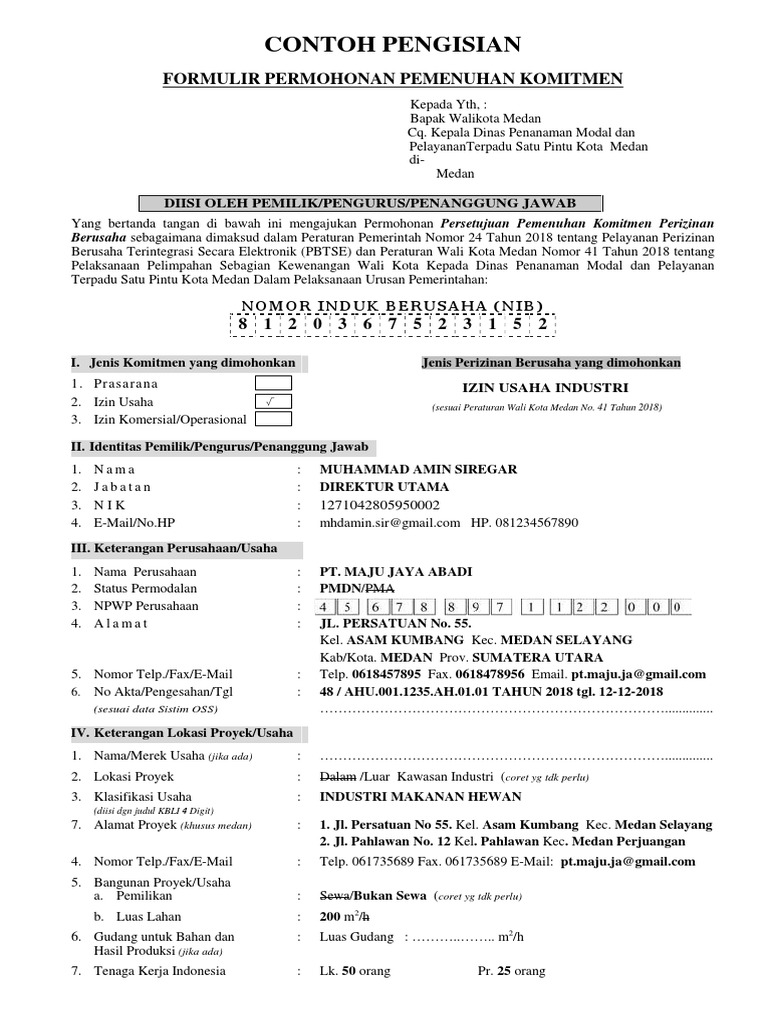 Contoh Isi Formulir Pajak | PDF