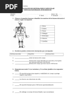 Evaluación de Ciencias (Cuerpo Humano, Esqueleto) | PDF