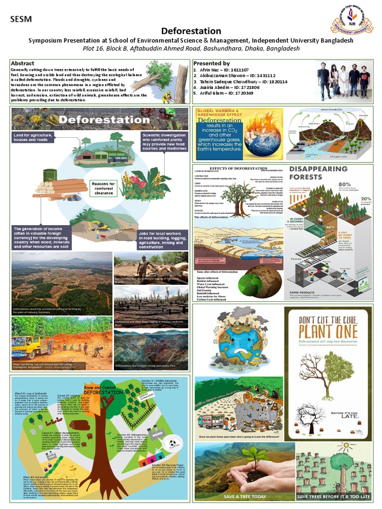 Deforestation Poster | Logging | Deforestation