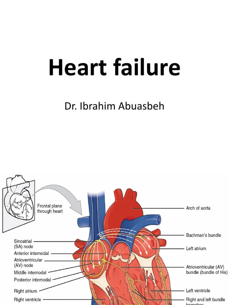 Heart Failure | PDF | Heart Failure | Heart