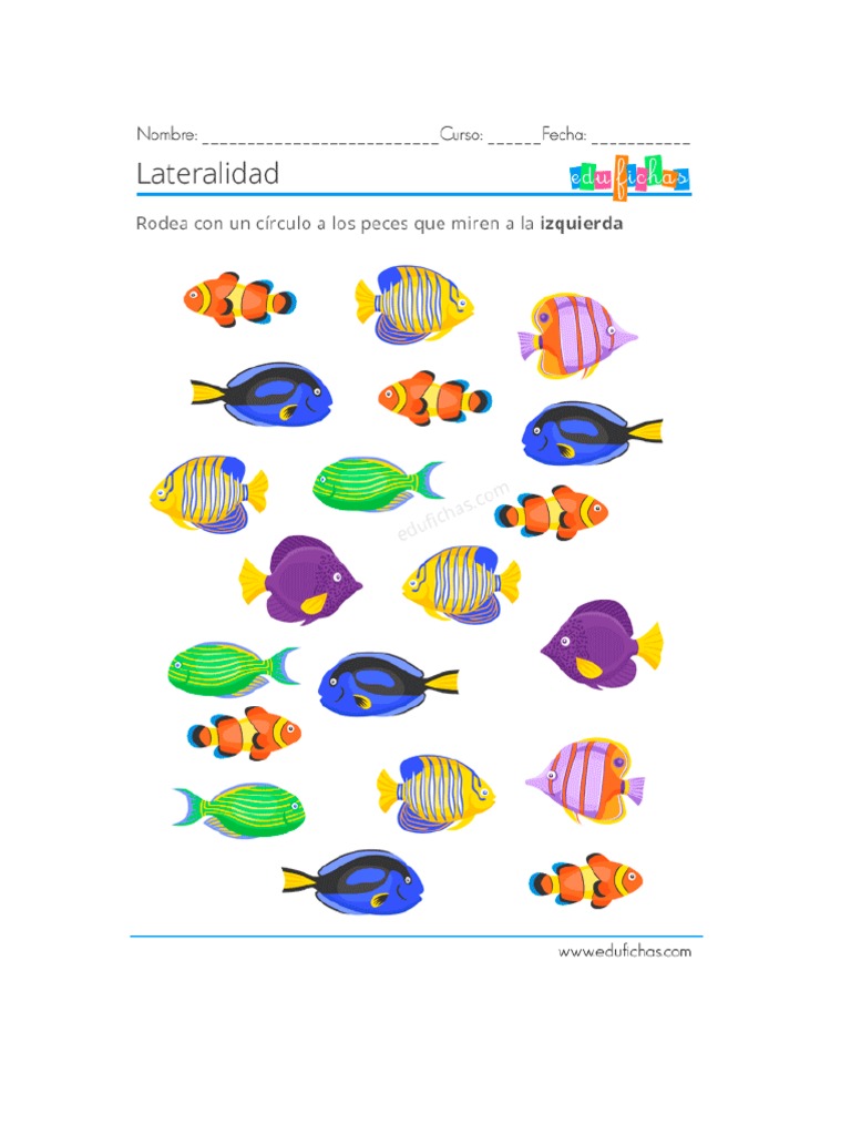 Fichas Lateralidad | PDF