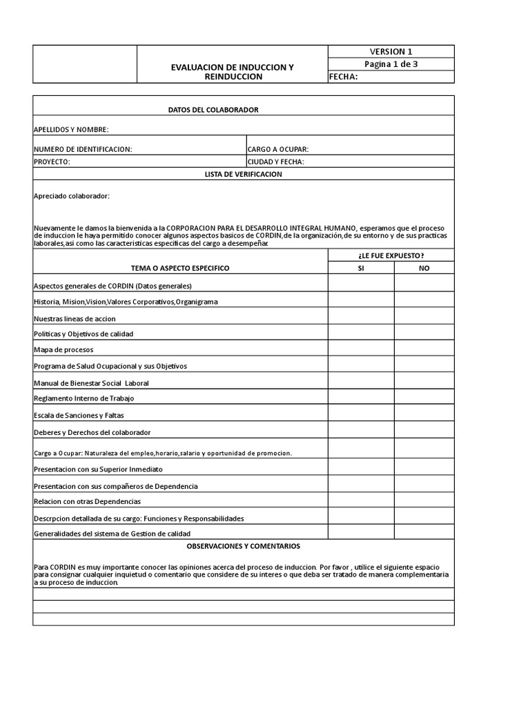 Formato Evaluacion de Induccion Personal | PDF | Educación de la primera infancia | Razonamiento ...