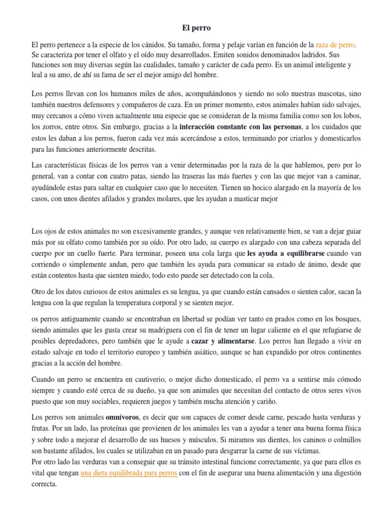 El Perro Pdf Perros Gatos