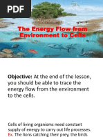 Interact and Interdependence | PDF | Grassland | Ecology