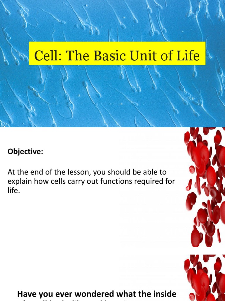 Understanding Cell Functions and Structures | PDF | Endoplasmic ...