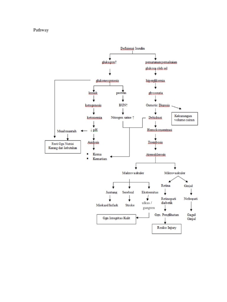 Pathway DM | PDF