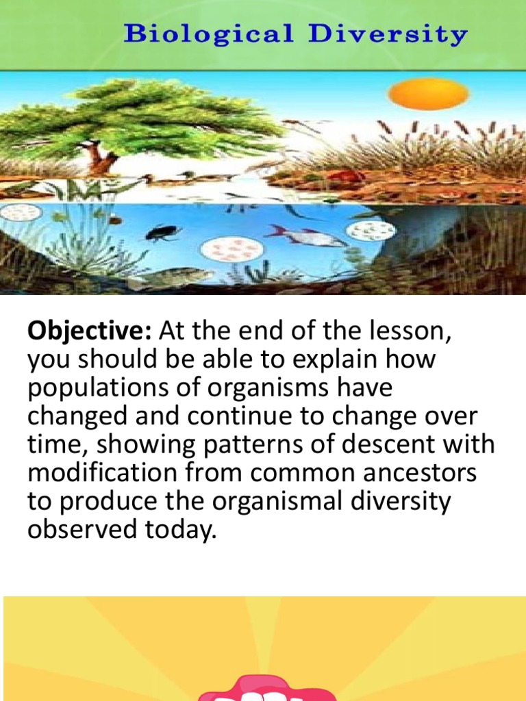 Lesson 9.2 Biological Diversity | PDF | Evolution | Biodiversity
