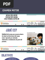 Test de la Mosca: Guía Práctica | PDF | Visión | Ligero