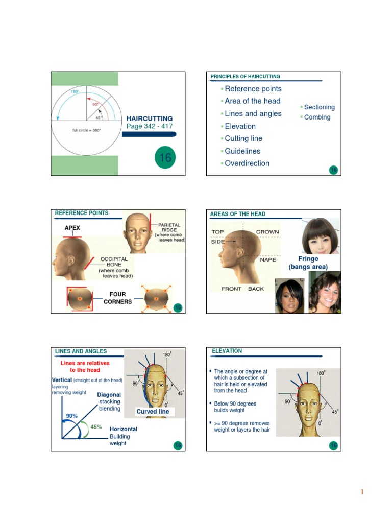 CH16 Haircutting | PDF | Hairstyle | Hair