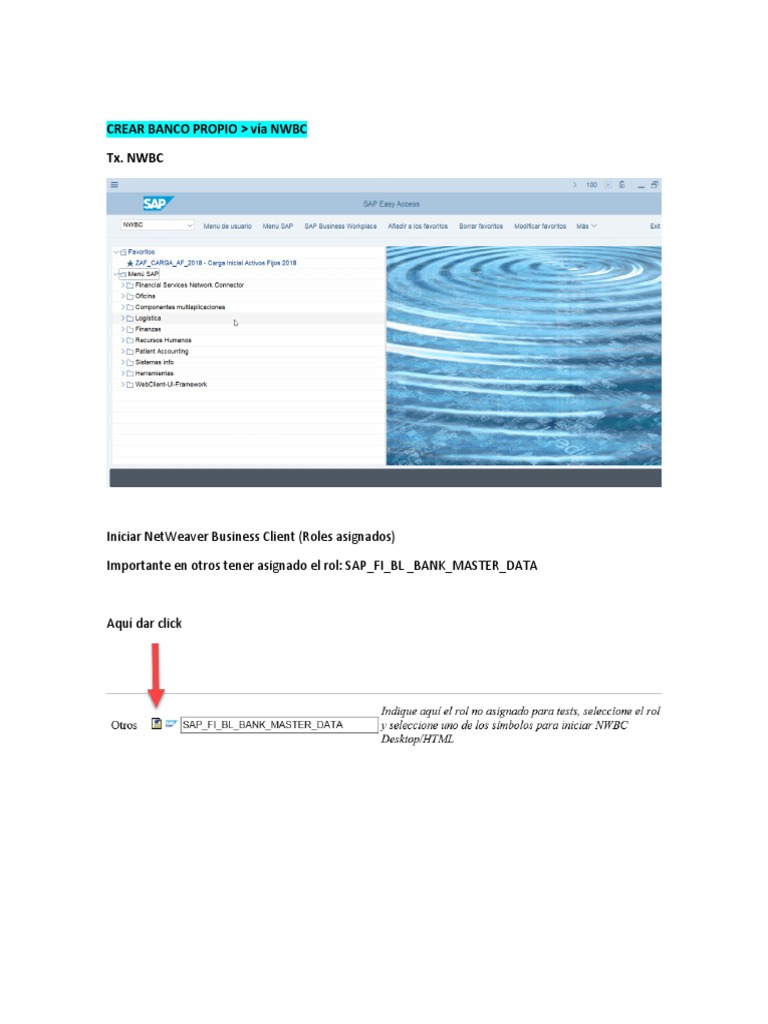 Crear Banco Propio Sap NWBC Hana | PDF | Informática