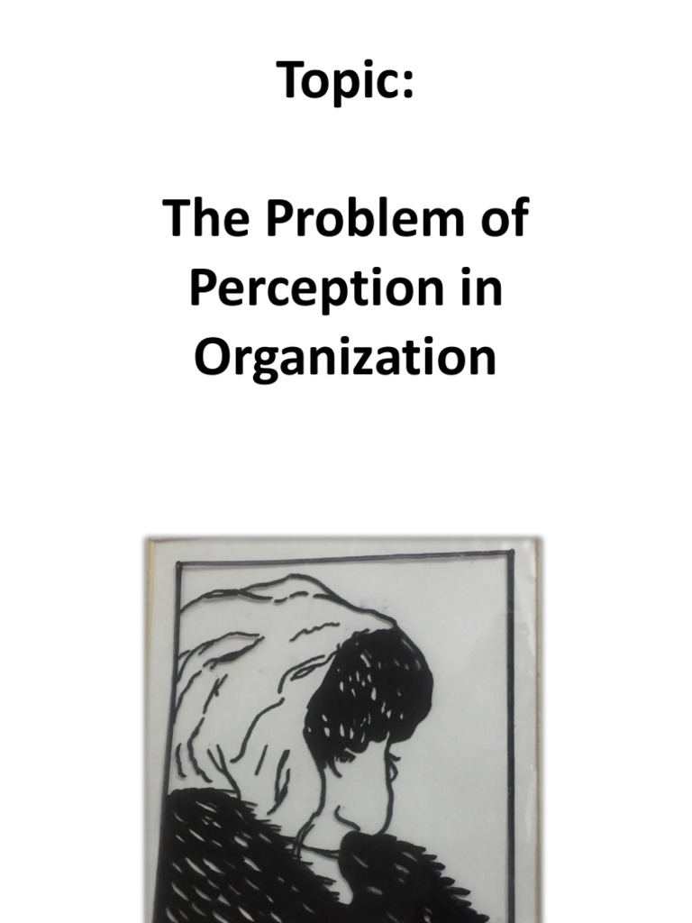 Topic: The Problem of Perception in Organization | Download Free PDF ...
