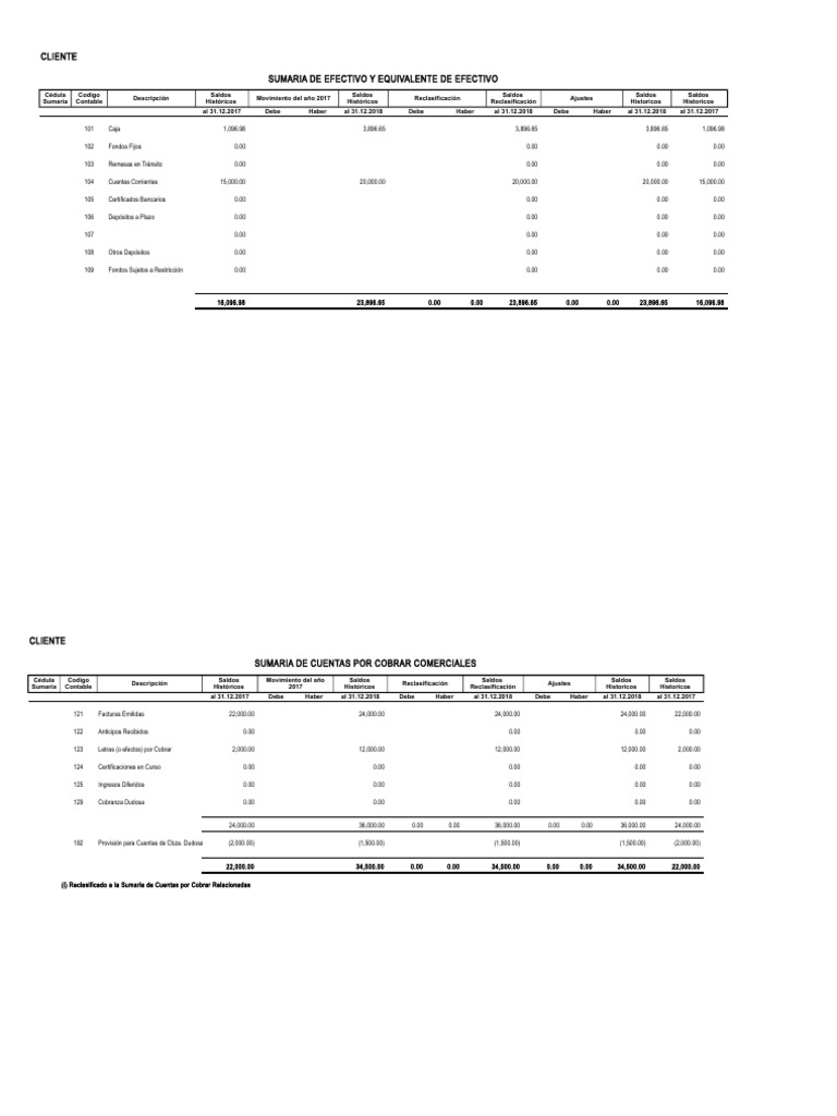 Modelo Cedula Sumaria EEFF | PDF | Contabilidad | Servicios (economía)