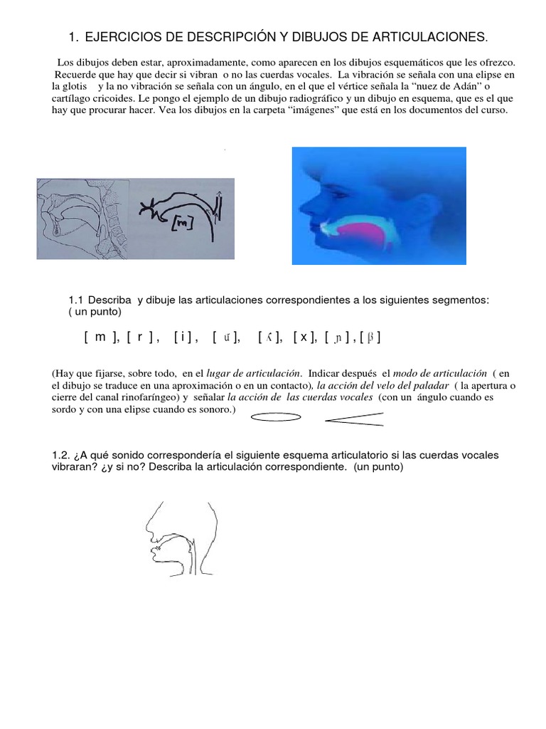 Fonetica Pdf Fonema Fonología