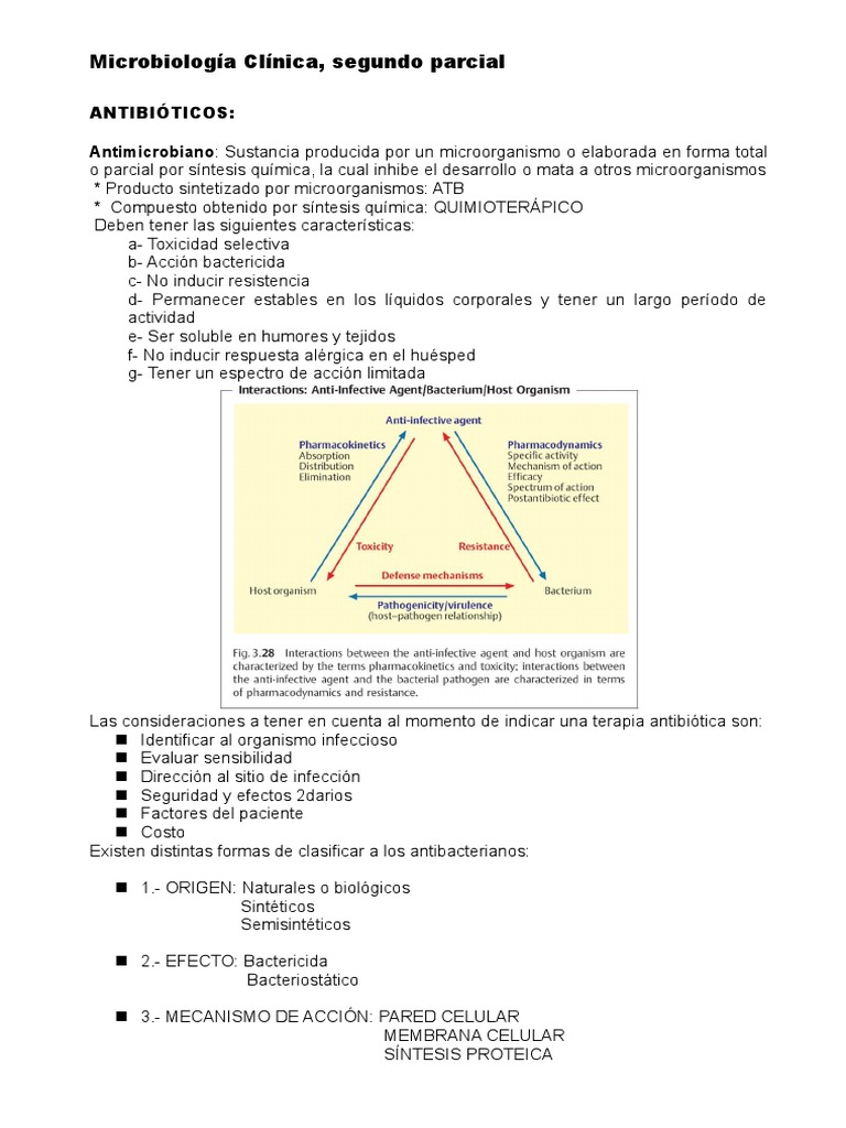 Resumen 2do Parcial Micro | PDF | Fagocito | Las bacterias