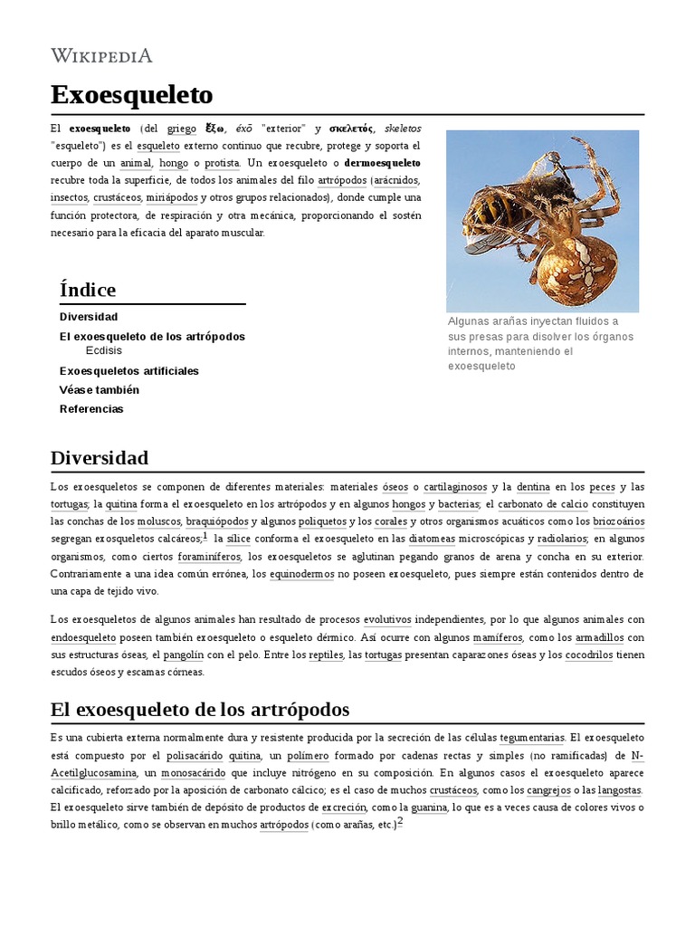 Exo Esqueleto | PDF | Organismos | Anatomia animal