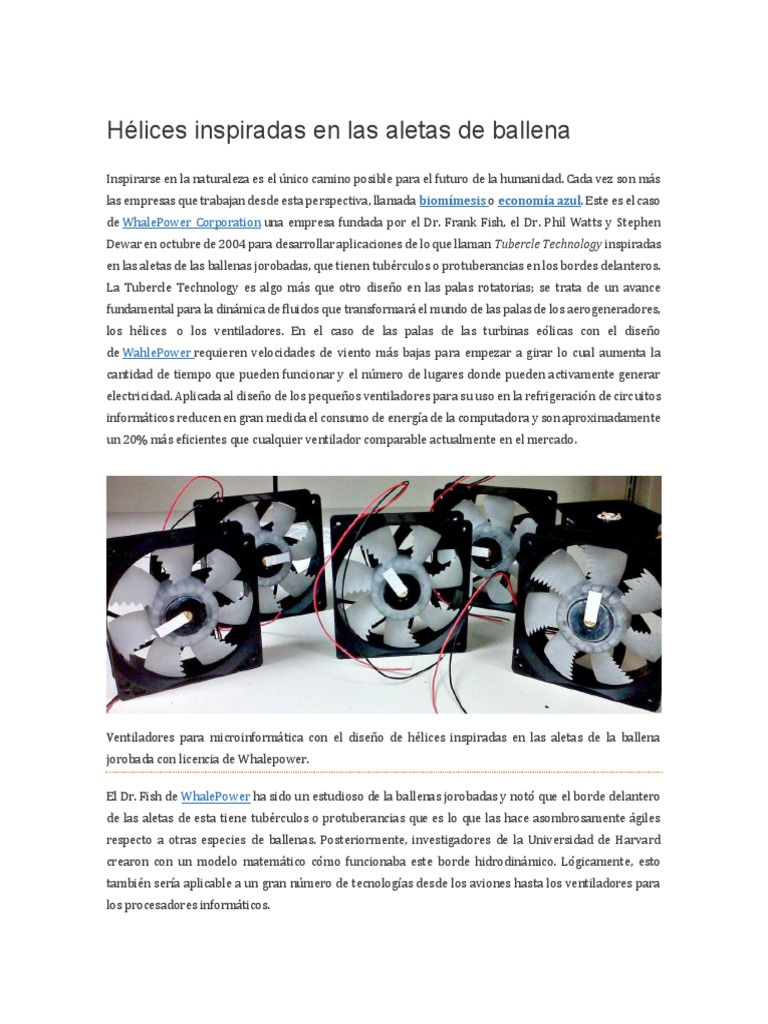 Hélices inspiradas en aletas de ballena | PDF | Energía eólica ...