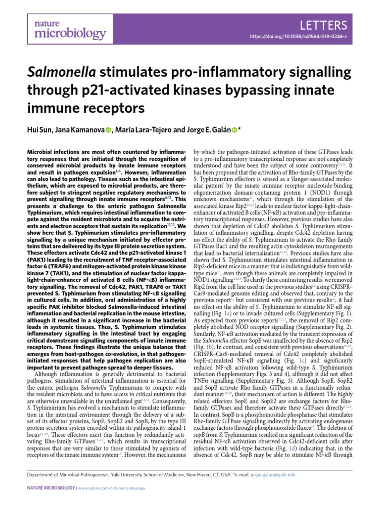 Salmonella Stimulates Pro-Inflammatory Signalling Through P21-Activated ...