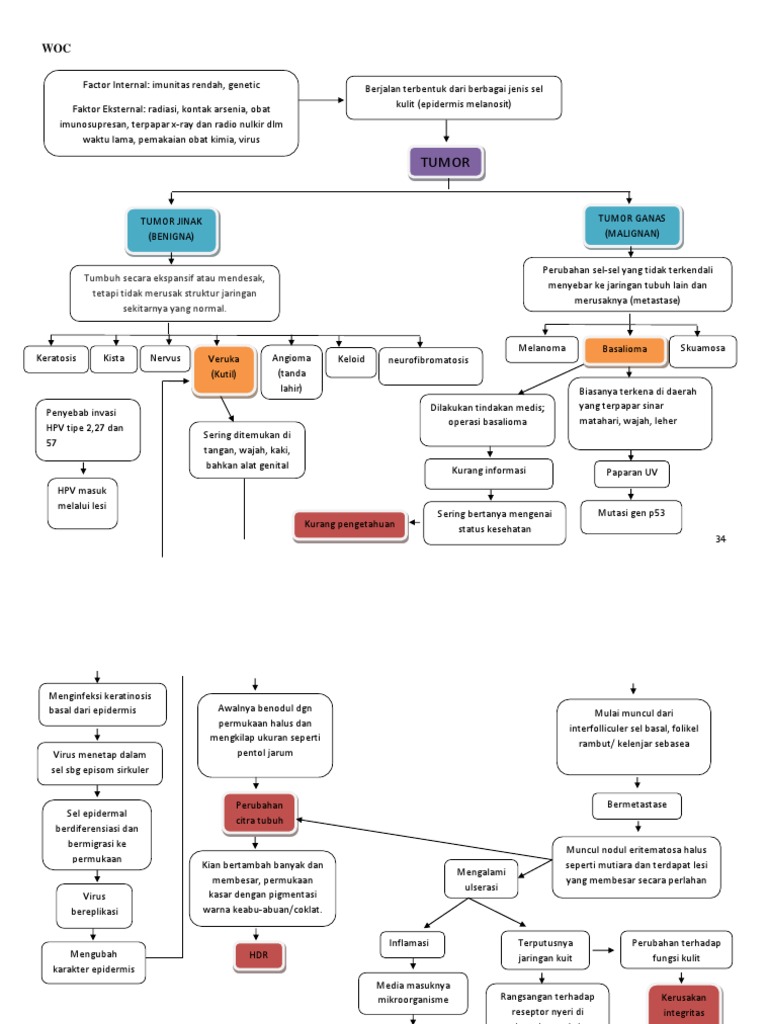 Woc Skin Tumor | PDF