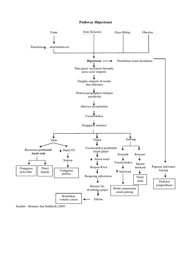 Pathway dan Patofisiologi Hipertensi | PDF