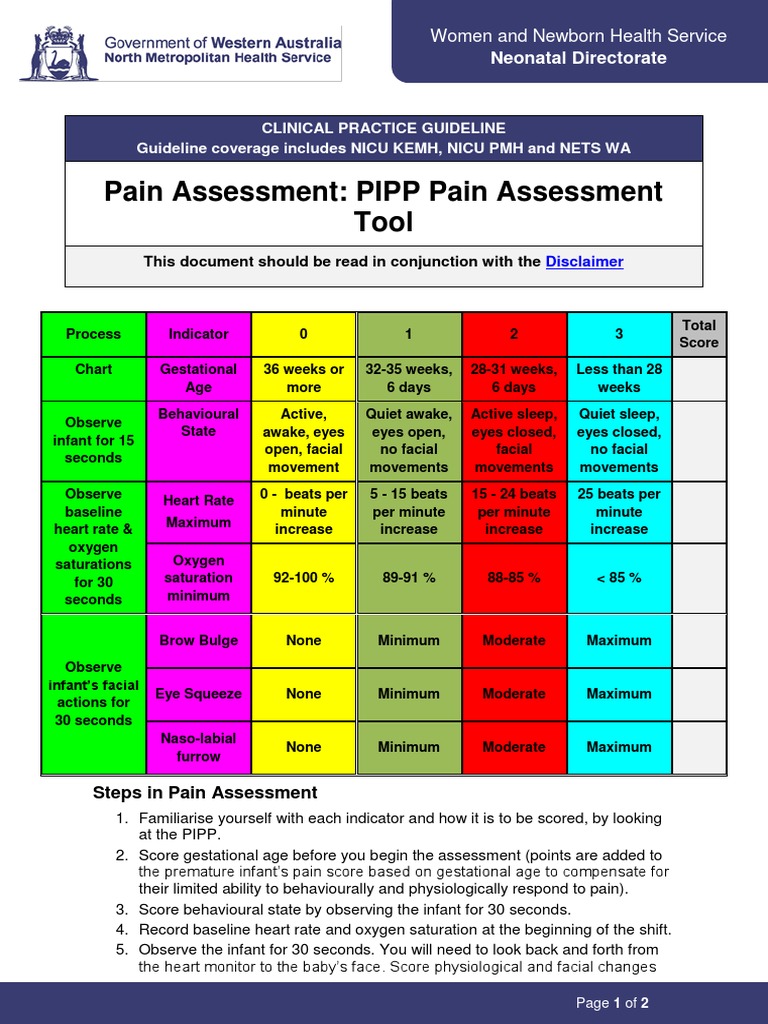 PIPP Pain Assessment Tool Guide | PDF | Infants | Neonatal Intensive ...