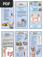 Triptico Cancer de Prostata | PDF | Cancer de prostata | Cáncer