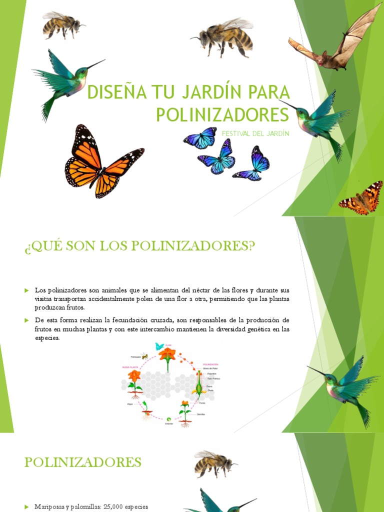 Diseña Tu Jardín para Polinizadores | PDF | Polinización | Flores