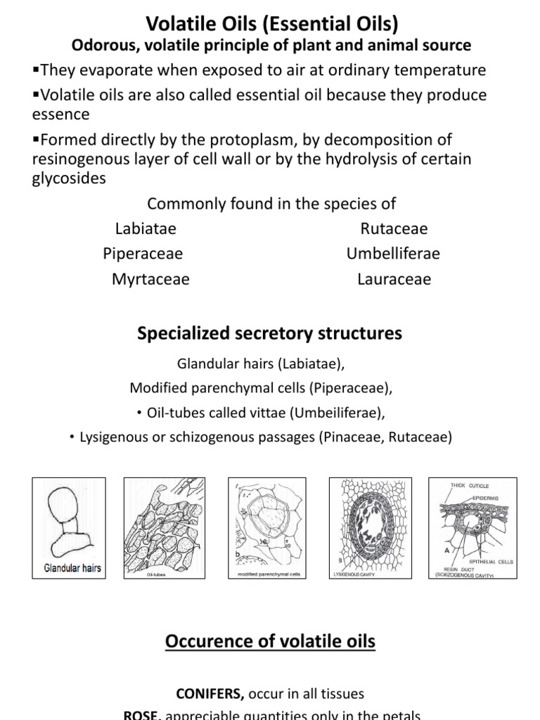Volatile Oils (Essential Oils) : Odorous, Volatile Principle of Plant ...