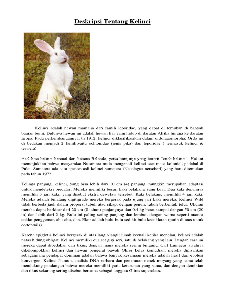 Deskripsi Tentang Kelinci | PDF | Sains & Matematika