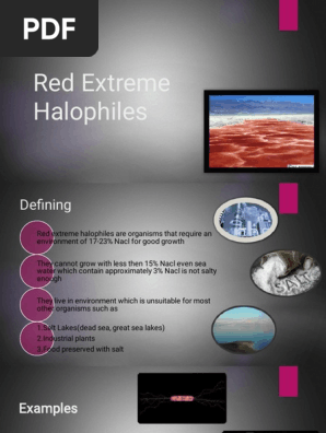 Halophiles Examples