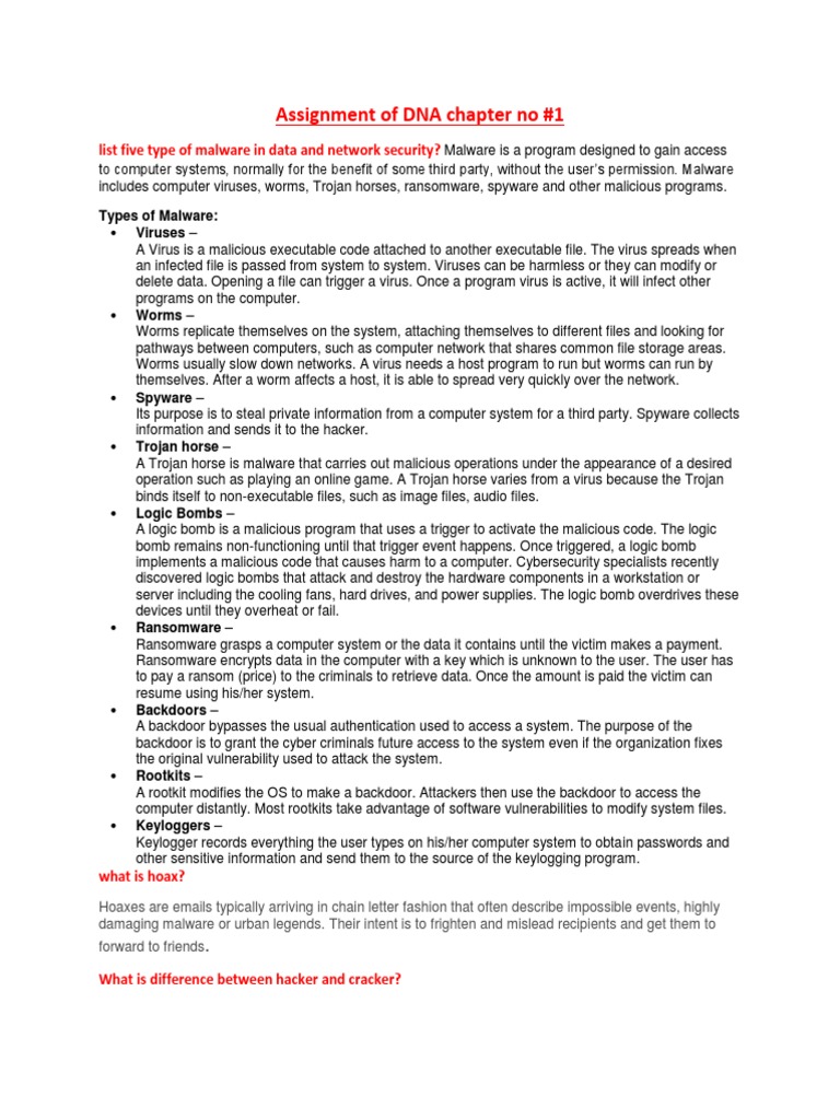 Assignment of DNA Chapter No | PDF | Malware | Computer Virus