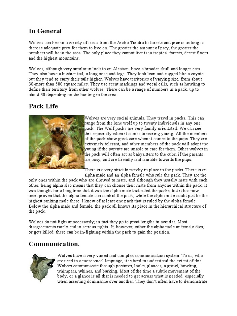 Wolf Pdf Gray Wolf Pack Canine