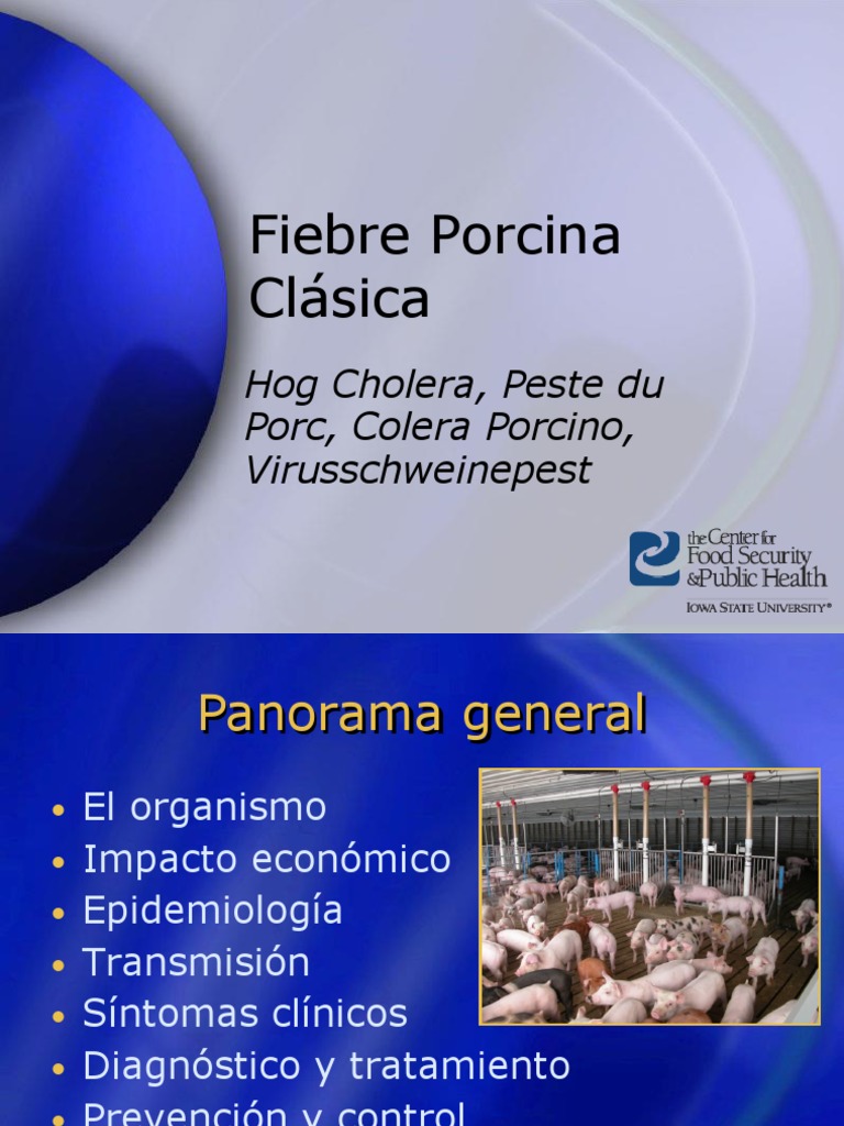 Fiebre Porcina Clásica: Hog Cholera, Peste du Porc, Colera Porcino ...