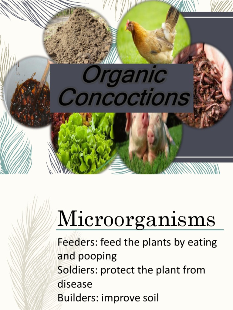 Organic Microbial Concoctions Guide | PDF | Microorganism | Juice